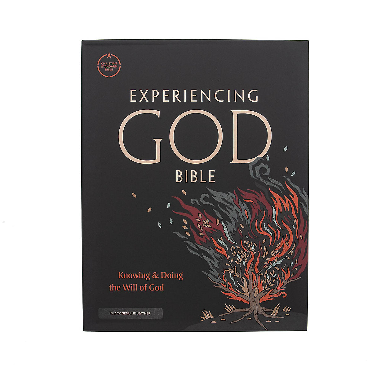 CSB Experiencing God Bible, Black, Genuine Leather – blackabystore.org
