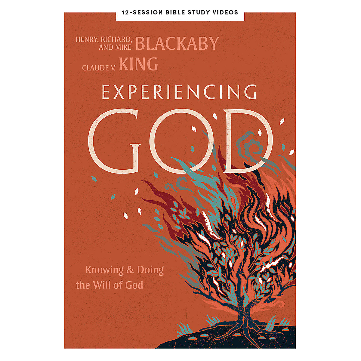 Experiencing God - DVD Set – blackabystore.org